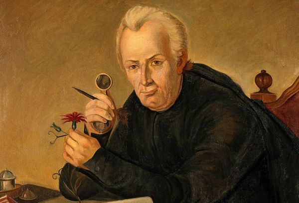 Historia - Colegio Mayor Jose Celestino Mutis Historia Colegio Mayor ...